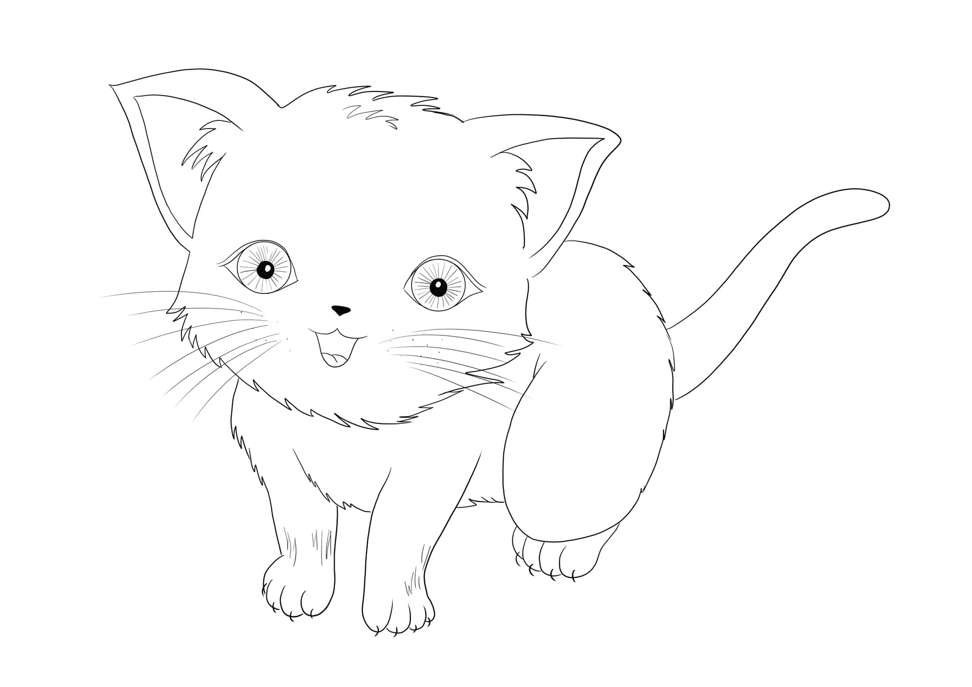 Anime Cat Coloring Page - Free Printable PDF Download